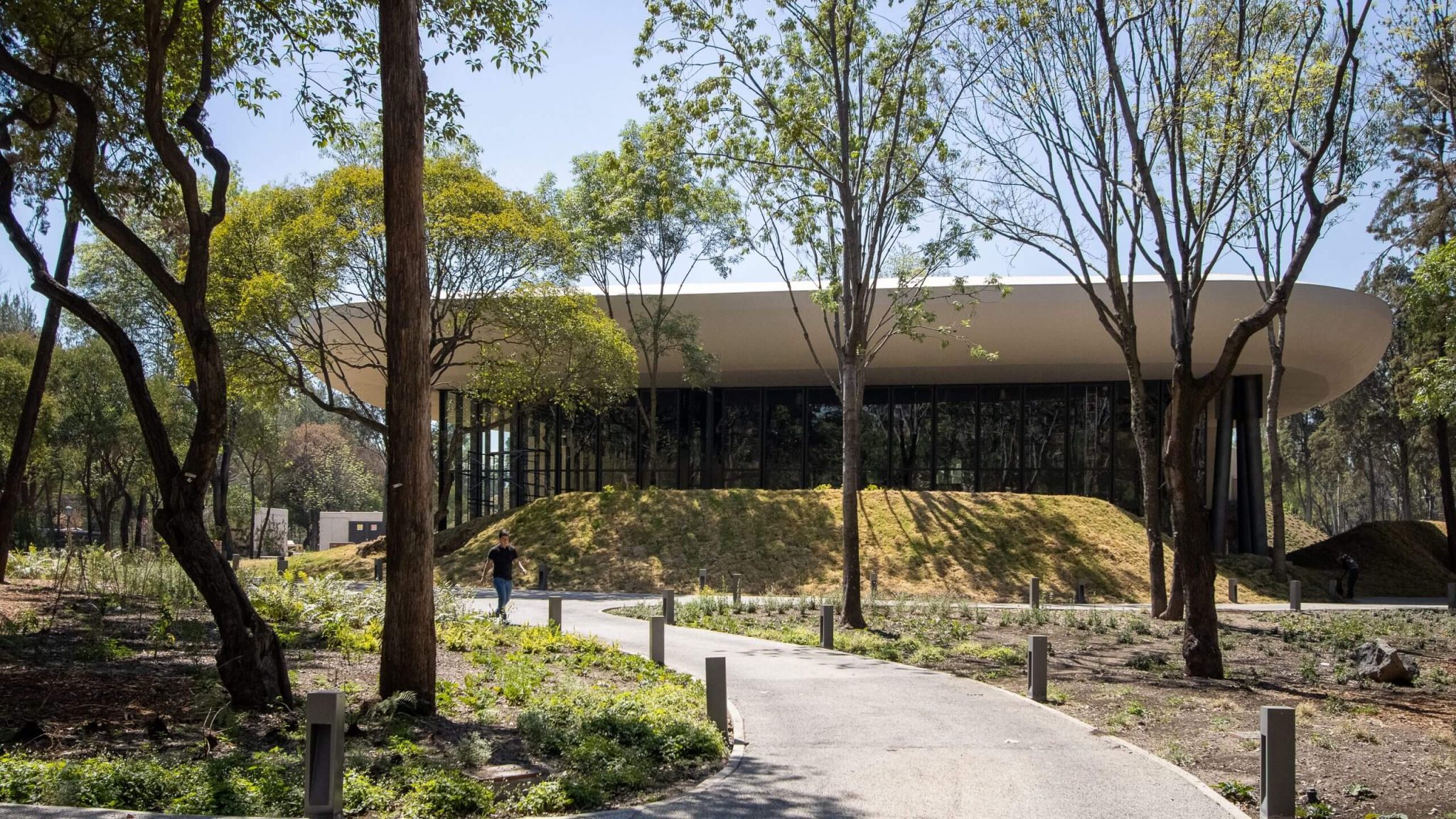 JARDIN BOTÁNICO DE CHAPULTEPEC, UN ESPACIO PARA CONECTAR CON LA ...