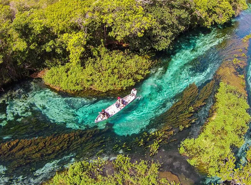 RÍO SUCURI: UN TESORO NATURAL DE BRASIL – Conexión Mx